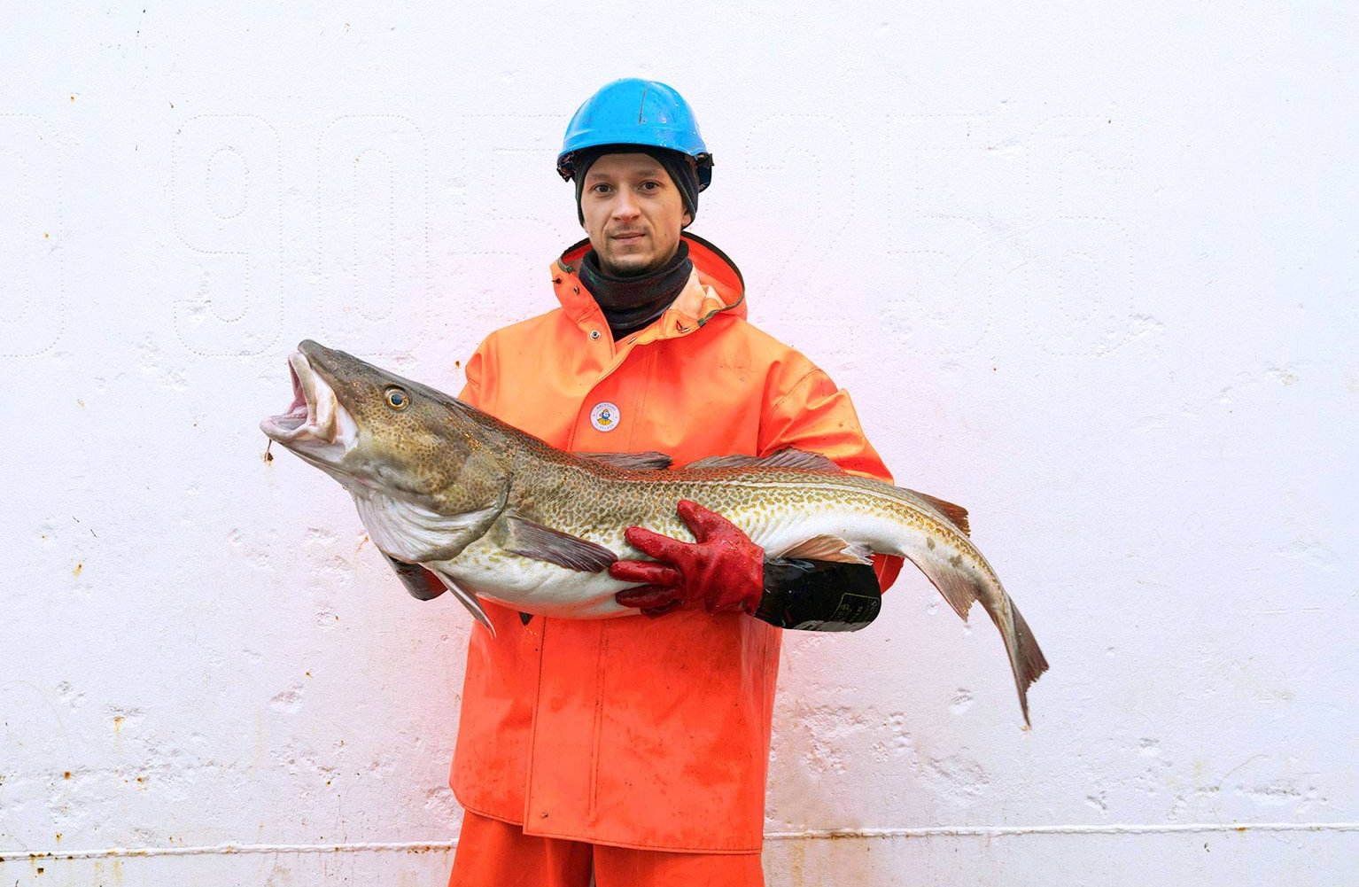 Borealis: Продукция